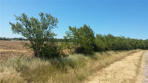 Plantons Des Haies Association Drômoise Dagroforesterie