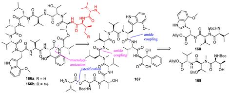 Natural Cyclic Peptides Synthetic Strategies And Biomedical Applications