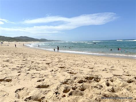 11 Best Things To Do In St Lucia South Africa
