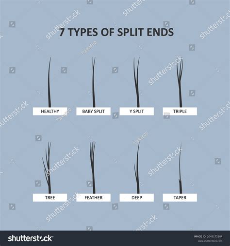 Split End Problems Over 767 Royalty Free Licensable Stock