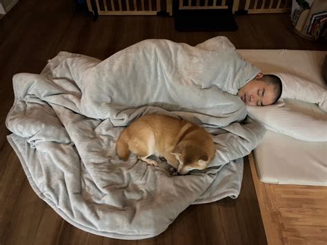 やまな ふみかず 今朝4時起きだったので 昨日の晩 リビングで寝ることにした おま と呼んだら 来てくれて 一緒に寝てくれた 寝坊した