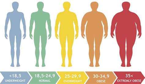 Obesity Metabolic And Clinical Consequences The Medical Biochemistry