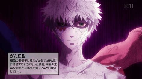 【はたらく細胞】白カネキそっくりな、がん細胞の悲しみと名言集！｜【おさる】の見たい、聞きたい、読みたい！