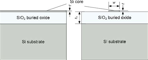Cross Sections Of Typical Soi Waveguides Not In Scale A Slab And