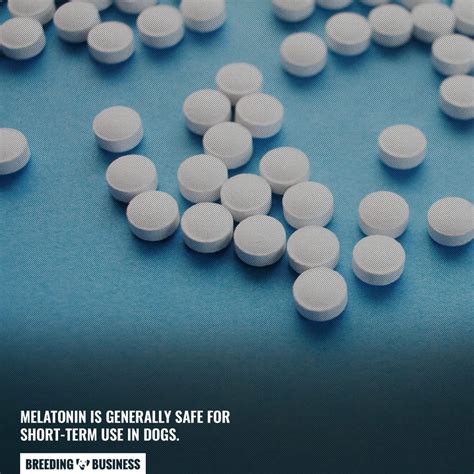 Melatonin for Dogs – Safety, Dosage, Prescription, Alternatives & FAQ