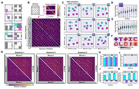 An Rsa Based Framework To Quantify Representational Structure In