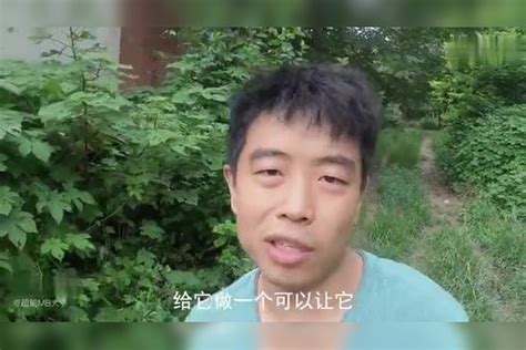 给瘫痪的狗狗做了一个轮椅，它终于可以快乐的奔跑了