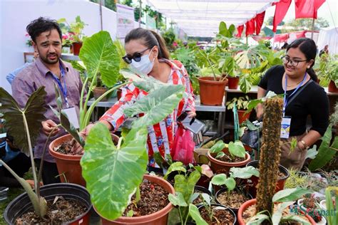 Godavari Flower Exhibition Begins At Jawalakhel Pictures Nabin Babu Gurung Setopati