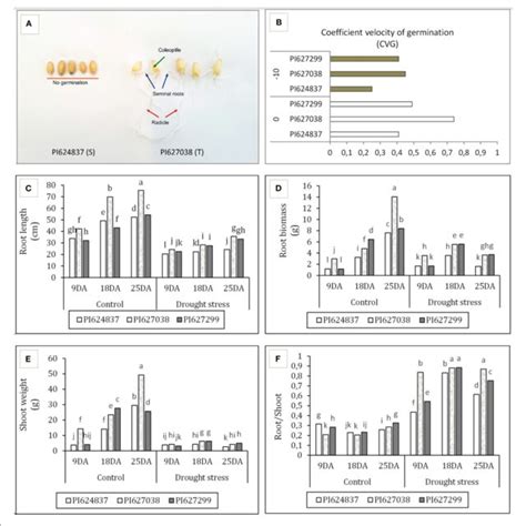 Valine Leucine And Isoleucine Degradation Pathway 26142