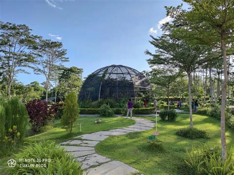 Xiaomi Mi Note 10 Pro Review Smartphone Premium Berkamera Terbaik Laptophia