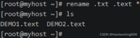 Linux常用命令（ls Chmod Chown Chgrp Touch Mkdir Rm Cp Mv Rename）lshfpd Csdn博客
