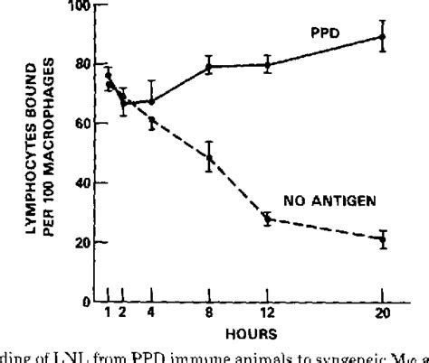 Figure 1 From Macrophage Lymphocyte Interaction Interactions Between