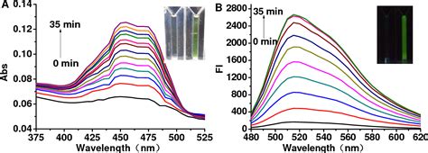 Figure 2 From Nonpeptide Based Small Molecule Probe For Fluorogenic And