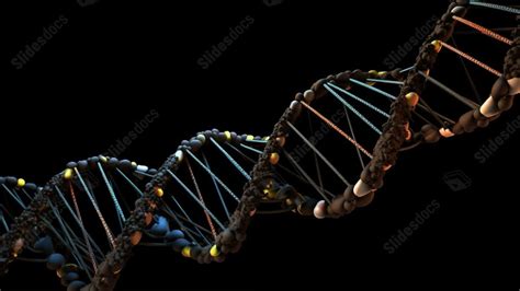 The Genetic Code Of A Strand Of Dna On Black Powerpoint Background For