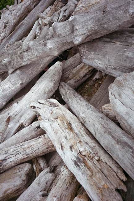 Top 5 Best Organic Fiber Supplement 2025 Pixelfy Blog