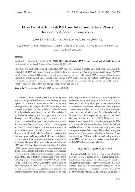 Pdf Effect Of Artificial Dsrna On Infection Of Pea Plants By Pea Seed Borne Mosaic Virus