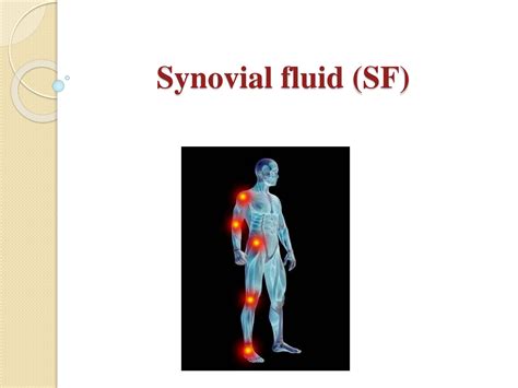 Solution Lecture Synovial Fluid Analysis Studypool