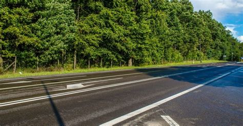 GDDKiA zamyka przejścia dla zwierząt wzdłuż autostrad i dróg