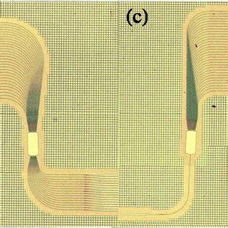 Schematic Diagram Of The AWG Demodulation Integration Microsystem Download Scientific Diagram