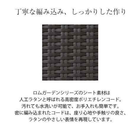 タカショー Loom Garden イス チェア 椅子 屋外 家具 ファニチャー ラタン おしゃれ アジアン ガーデン 庭座 シンプル