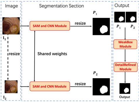 논문 리뷰 BiSeg SAM Weakly Supervised Post Processing Framework for Boosting Binary Segmentation
