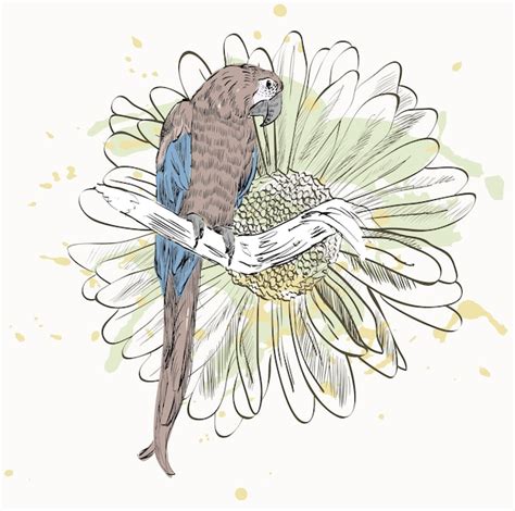 Premium Vector Sketch Of A Parrot