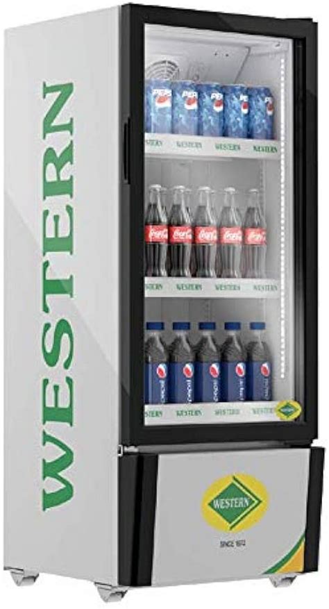 Western 167 Liter Visi Cooler SRC200HC GL Deep Freezers Mart