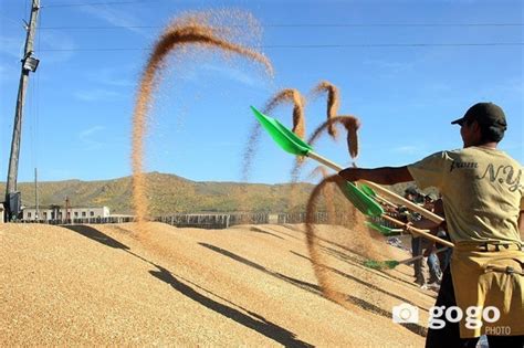 Газар тариалангийн 1000 гаруй АНН иргэнд 17 1 тэрбум төгрөгийн дэмжлэг үзүүлжээ