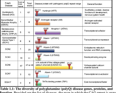 Table 11 From Toward Understanding The Polyglutamine Disorder Spinocerebellar Ataxia Type 3