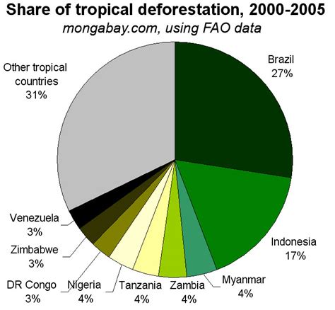 Causes Of Deforestation Graph