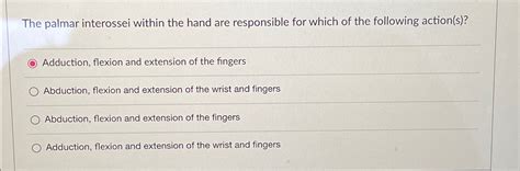 Solved The Palmar Interossei Within The Hand Are Responsible