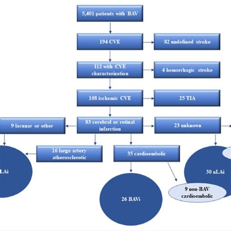 Cerebrovascular Event Characterization Flow Chart Bav Indicates Download Scientific Diagram