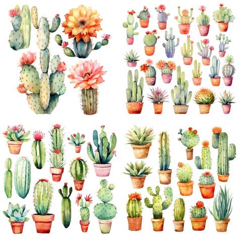 Una Colección De Diferentes Tipos De Cactus Y Cactus Foto Premium