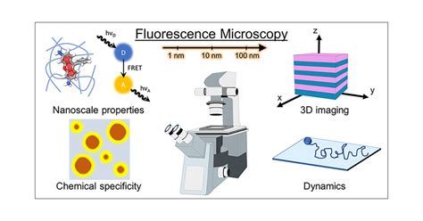 100th Anniversary Of Macromolecular Science Viewpoint Enabling Advances In Fluorescence