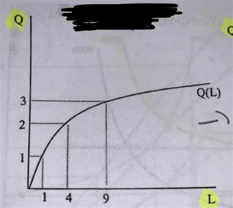 Econ Midterm 2 Flashcards Quizlet