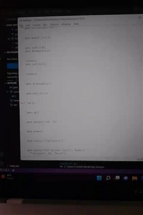 anuska palit on linkedin turtle python practicing