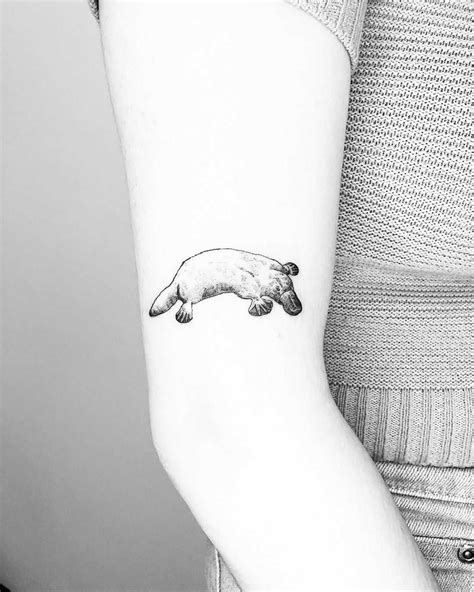 Platypus Tattoo By Jake Harry Ditchfield Tattoogrid Net