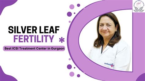 Ppt Best Icsi Treatment Center In Gurgaon Silver Leaf Fertility