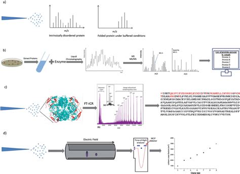Schematic Representations Of Procedures Which Involve The Use Of Mass Download Scientific