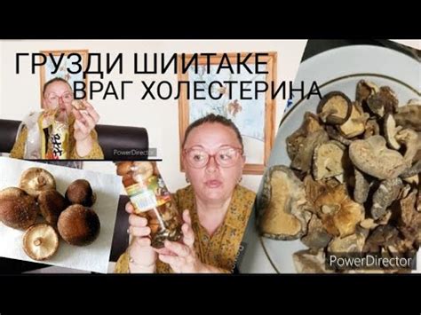 Люблю грузди шиитаке, так они еще и полезные. - YouTube