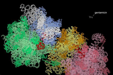 Machine Learning Program Imagines A Proteins Many Possible Structures
