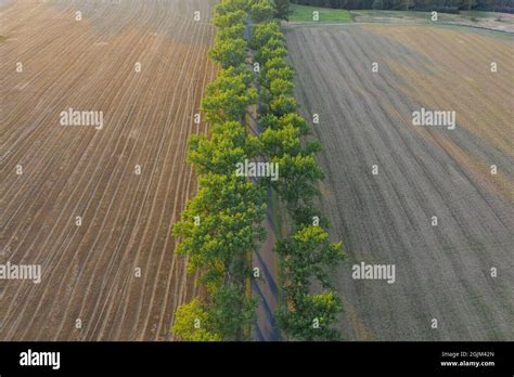 Asphalt Road Through Farmland And Meadows View From The Drone Stock