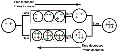 Gene Population Mechanisms Monotonically Increase The Size Of Gene