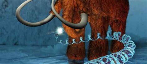 Podcast From Jurassic Park To Woolly Mammoths Is It Right To Bring