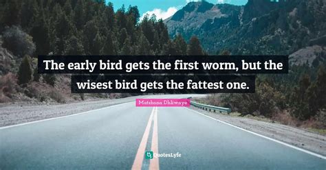 The Early Bird Gets The First Worm But The Wisest Bird Gets The Fatte