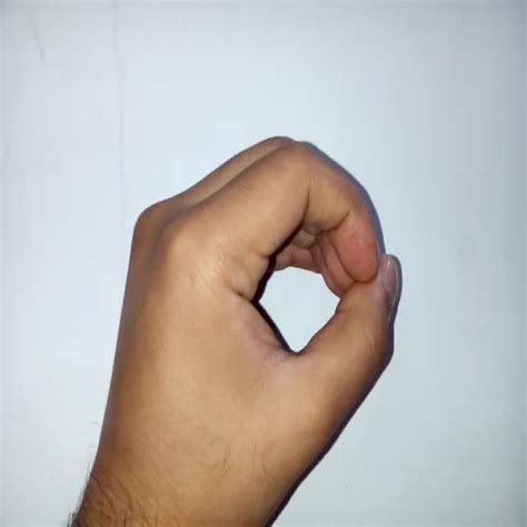 Sign Language Letter Translator Object Detection Dataset And Pre
