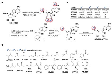 The Chemical Structure And Synthesis Of Gs 441524 Derived Prodrugs A Download Scientific