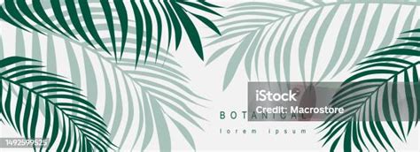 꽃무늬 라인 아트 디자인이 있는 식물 추상 배경 야자수의 녹색 잎 실루엣 윤곽선이 있는 열대 식물 잎이 있는 최소한의 스타일의 수평 웹 배너 벡터 그림입니다 0명에 대한