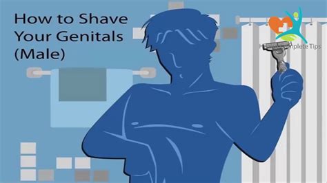 Shaving Male Genital Area At Rosaria Trotter Blog