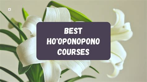 8 Best Ho Oponopono Courses For Beginners JAN 2025